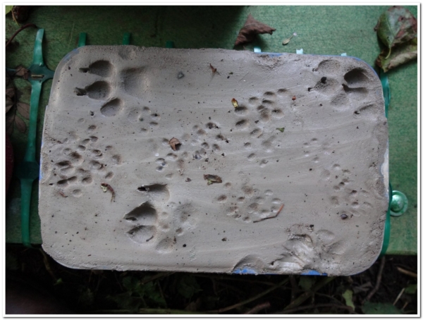 Field Signs - Waterlife Recovery Trust
