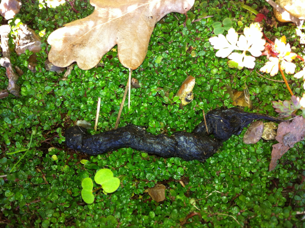 Field Signs - Waterlife Recovery Trust