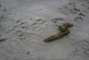 Field Signs - Waterlife Recovery Trust