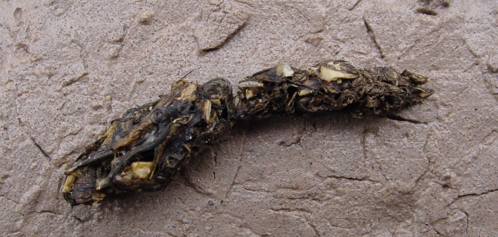 Field Signs - Waterlife Recovery Trust