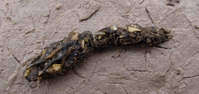 Field Signs - Waterlife Recovery Trust