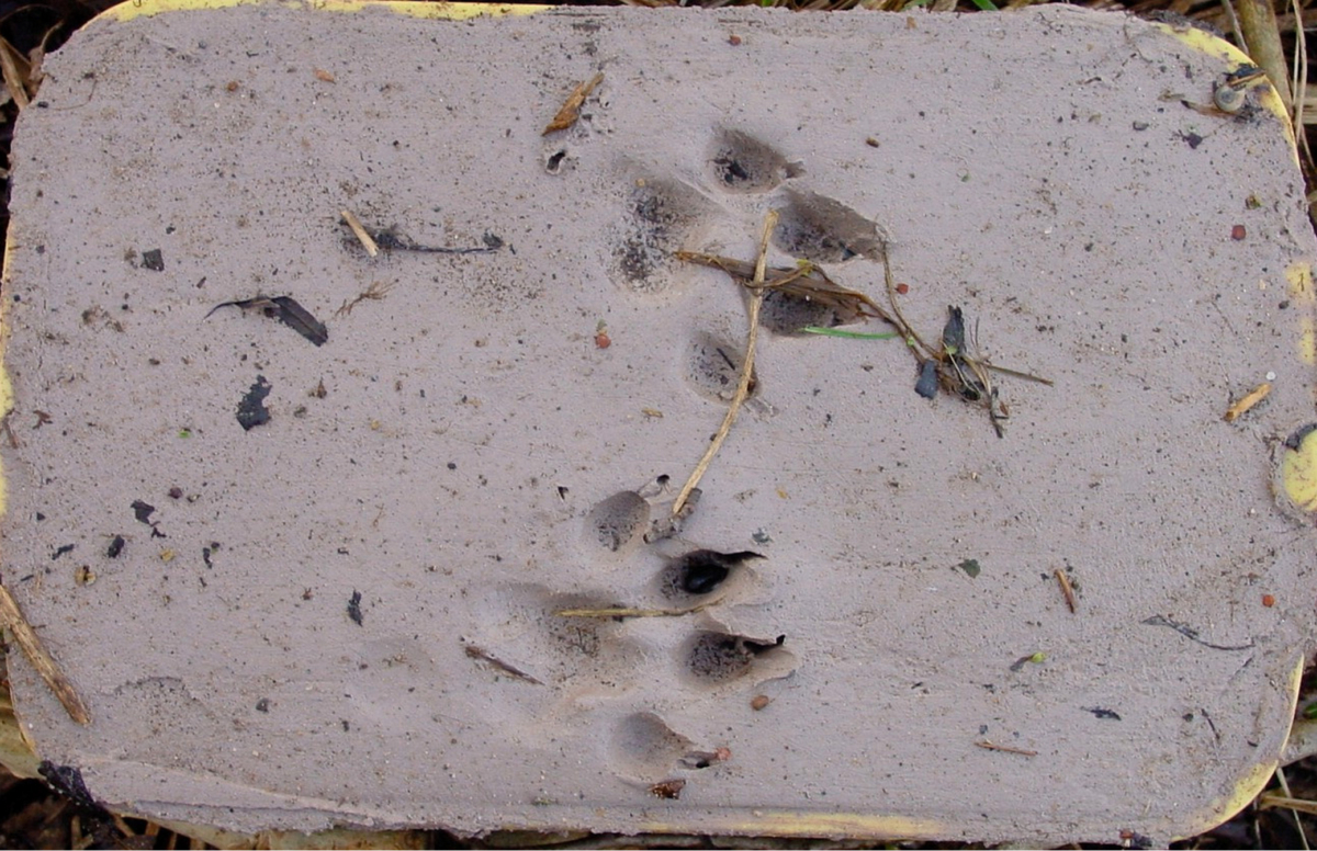 Field Signs - Waterlife Recovery Trust