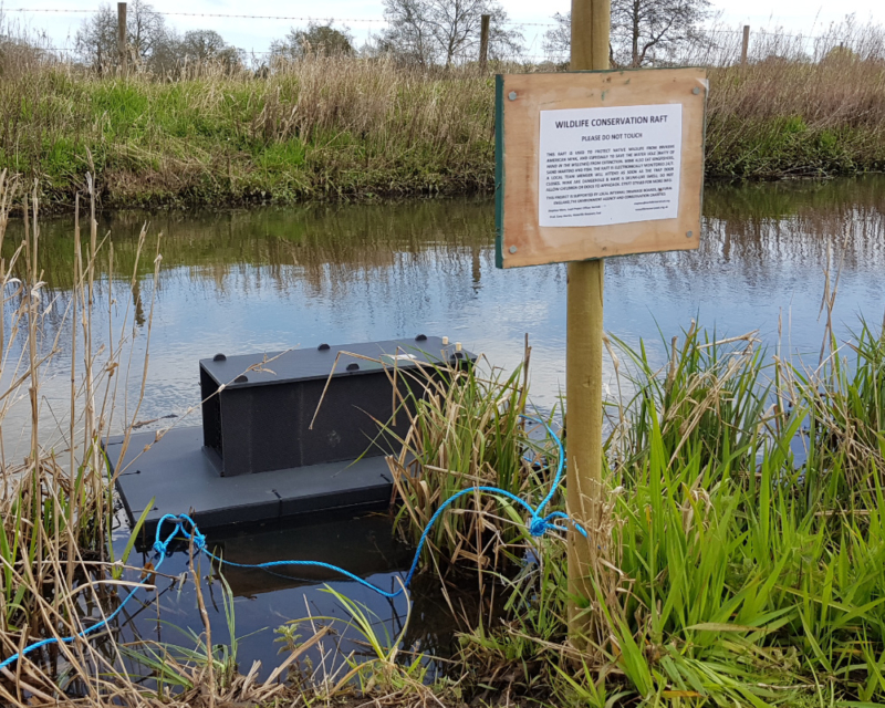 Waterlife Recovery Trust - Saving our native wildlife from the ...