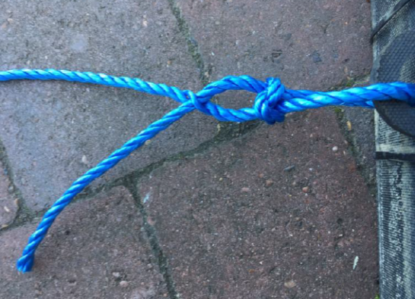 The Smart Mink Trap & Raft - Waterlife Recovery Trust