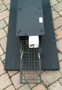 The Smart Mink Trap & Raft - Waterlife Recovery Trust