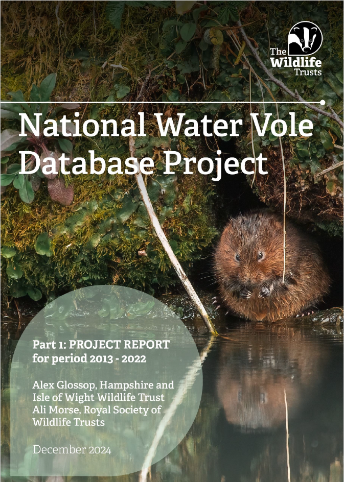 National Water Vole Report published - Waterlife Recovery Trust